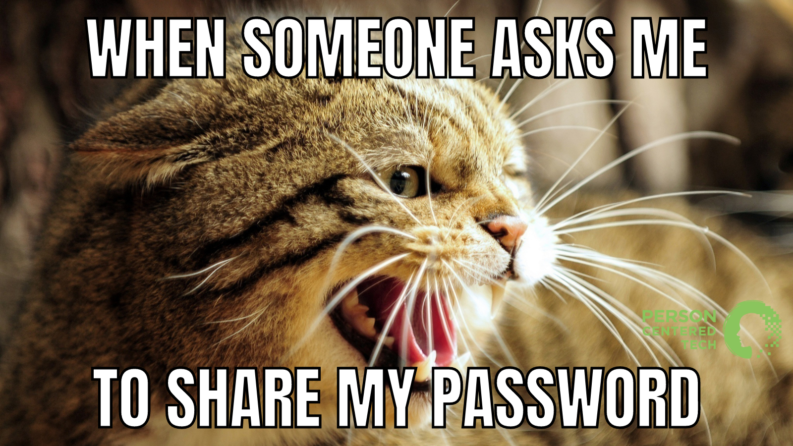 Hiss, Scratch | Person Centered Tech